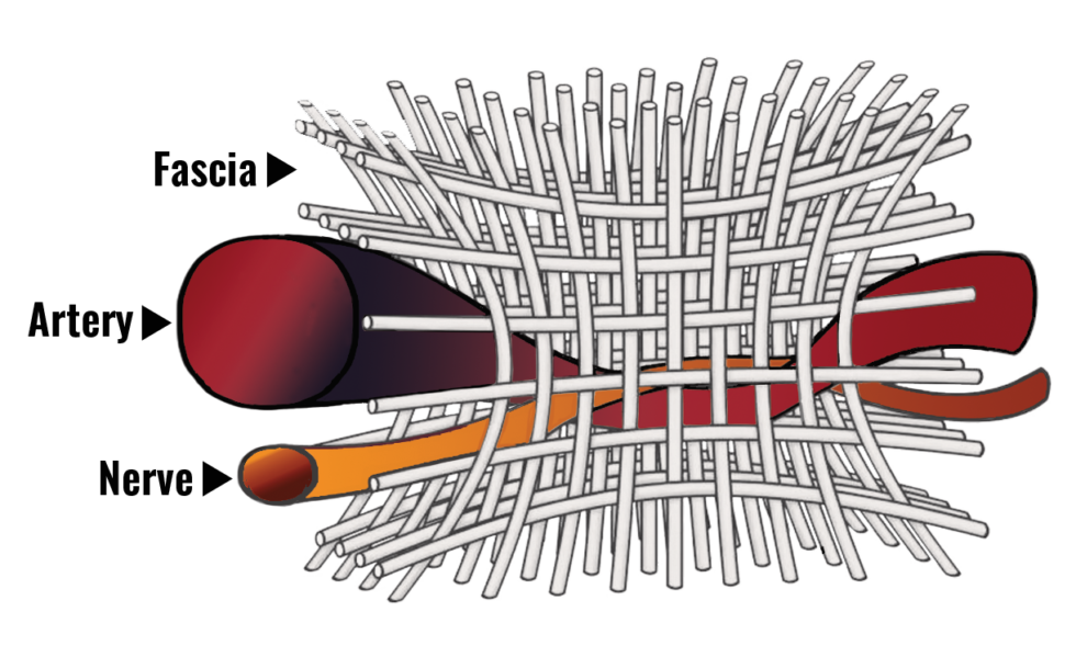 Myofascial Release Therapy - Myofascial Release Therapy